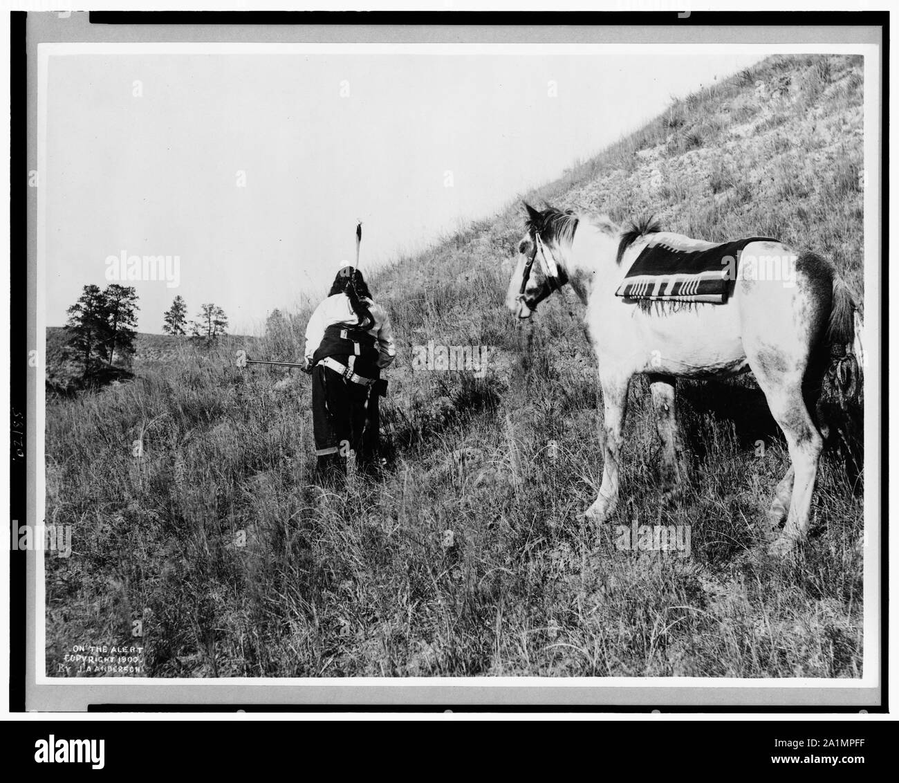 Alert behavior Cut Out Stock Images & Pictures - Alamy