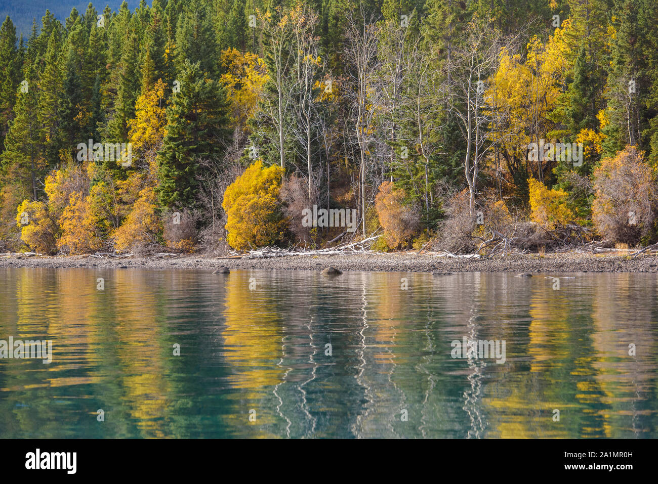 Chilko lake british columbia hi-res stock photography and images - Alamy