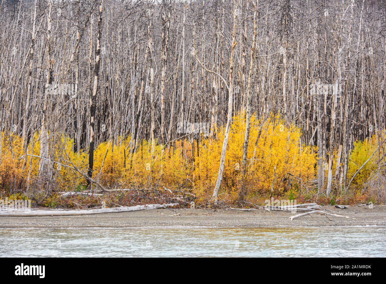 Bc wildfires hi-res stock photography and images - Alamy