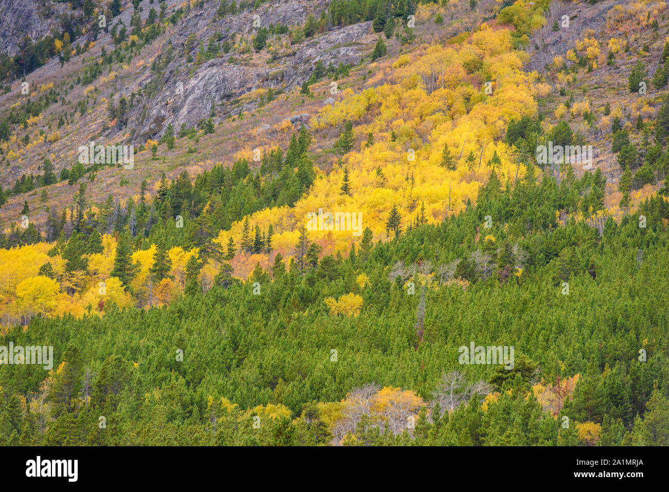 Chilko lake hi-res stock photography and images - Alamy