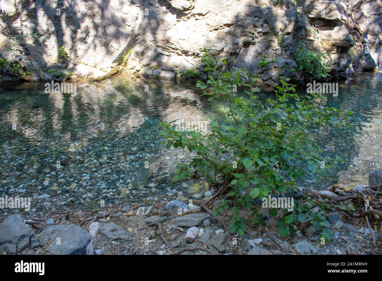 Underwater view rocks flowing water hi-res stock photography and images ...