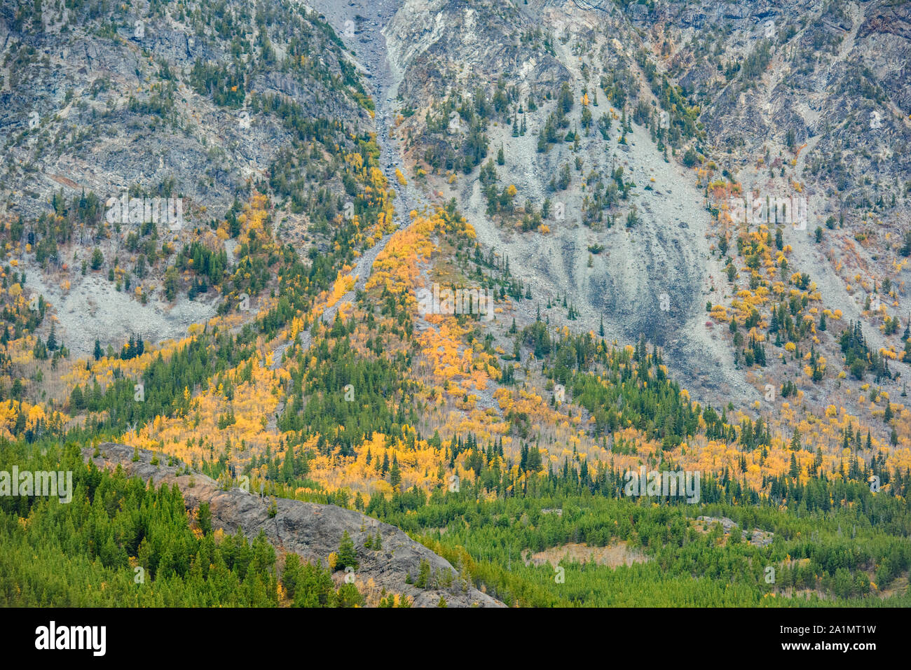 Autumn colour on the mountain slopes of the Coastal Range over Chilko ...