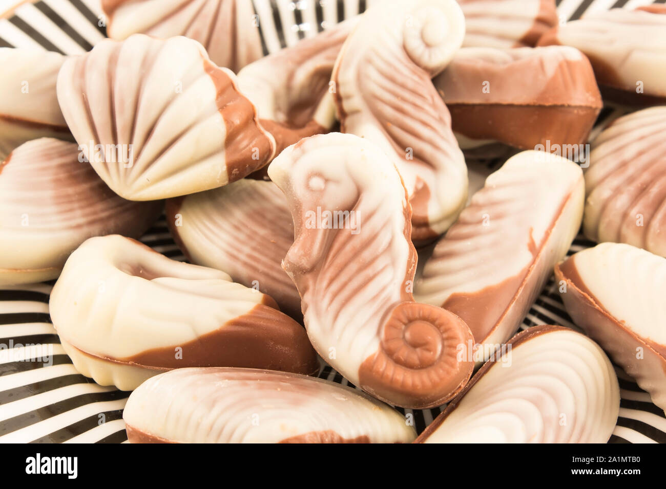 Seashell pralines hi-res stock photography and images - Alamy