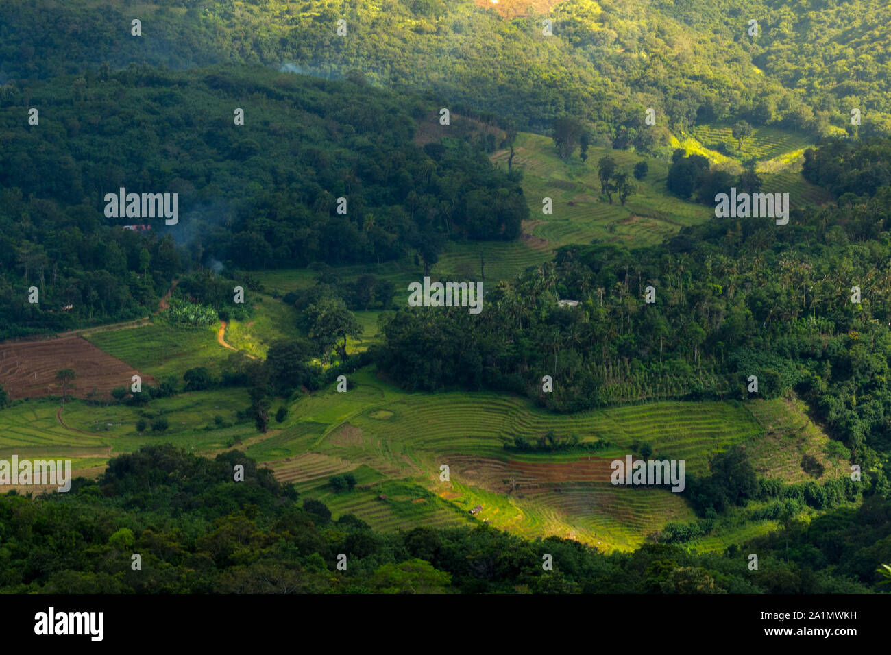 Morning birds eye view of rural village of Sri Lanka Stock Photo - Alamy
