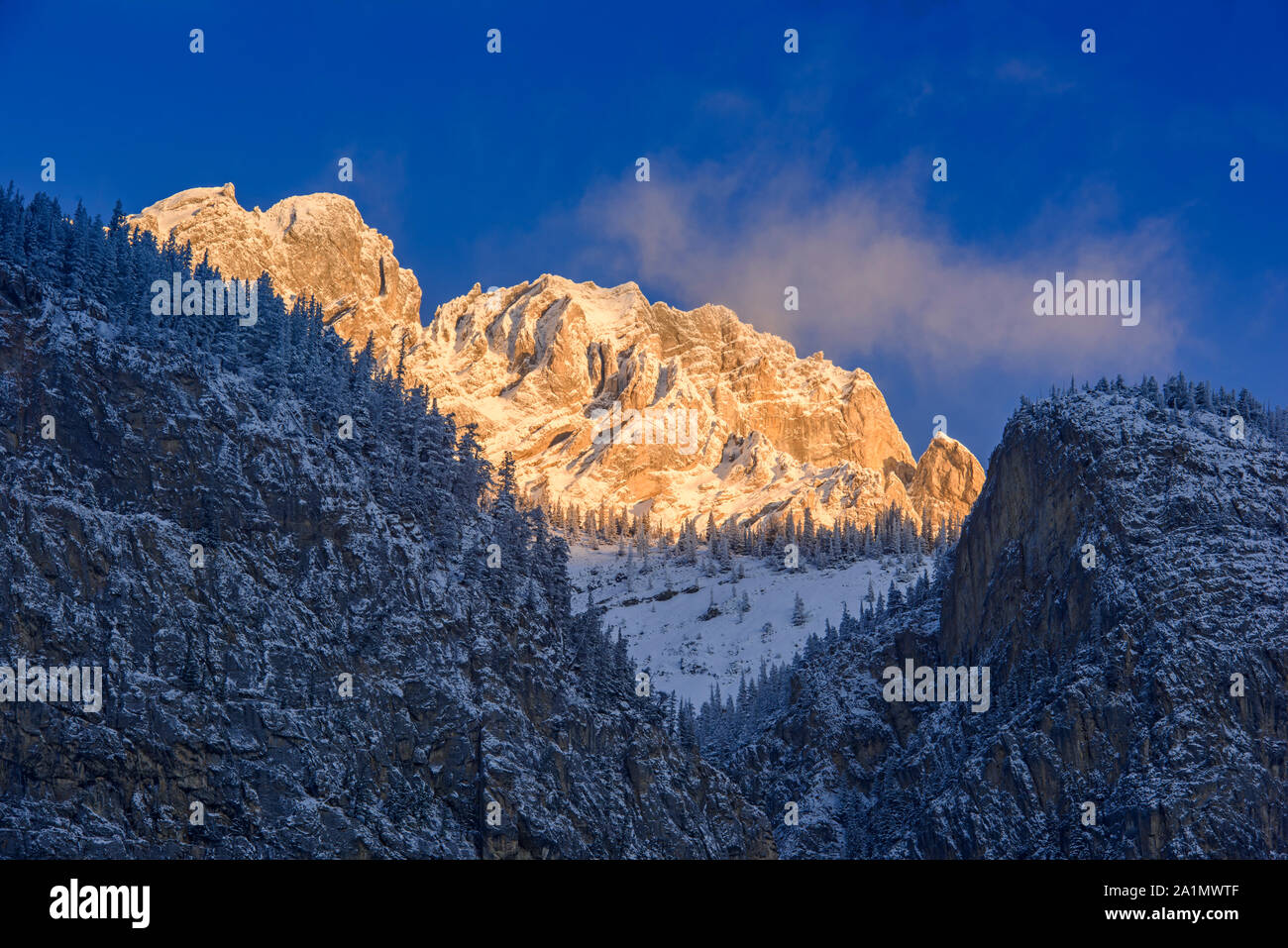 Fresh snow and morning light on Cascade Mountain, Banff National Park, Alberta, Canada Stock ...