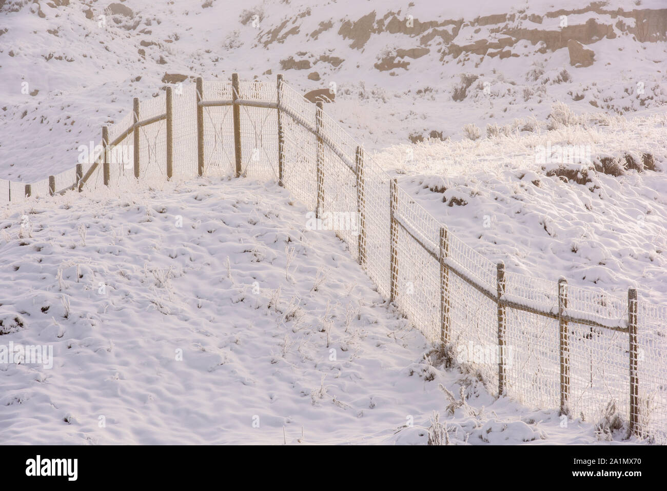 Frosted fence line hi-res stock photography and images - Alamy