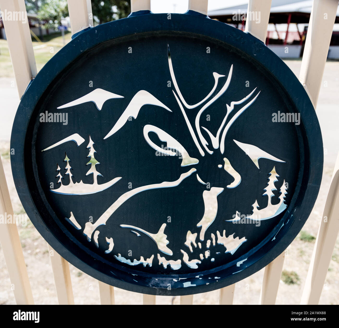 Jackalope hi-res stock photography and images - Alamy