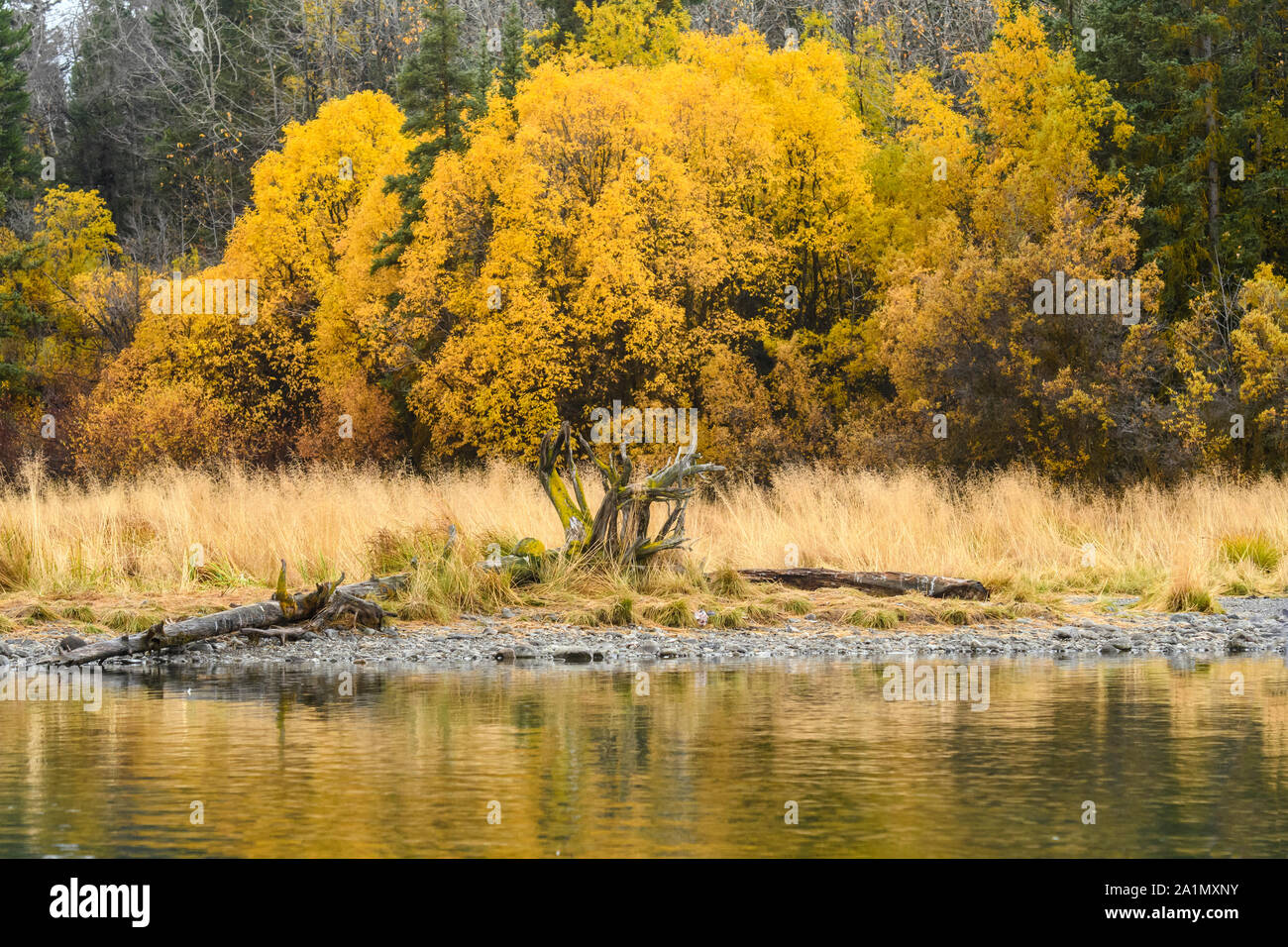 Chilko river hi-res stock photography and images - Alamy