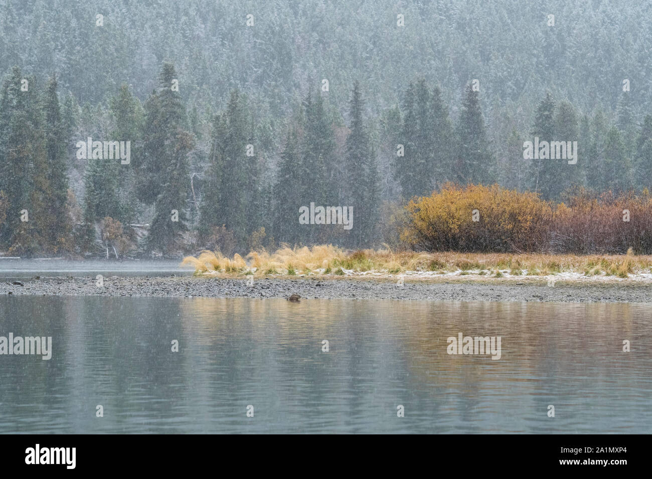 Chilko river hi-res stock photography and images - Alamy