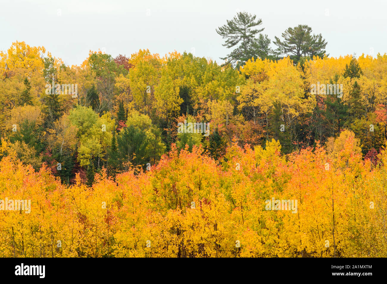 Espanola canada hi-res stock photography and images - Alamy