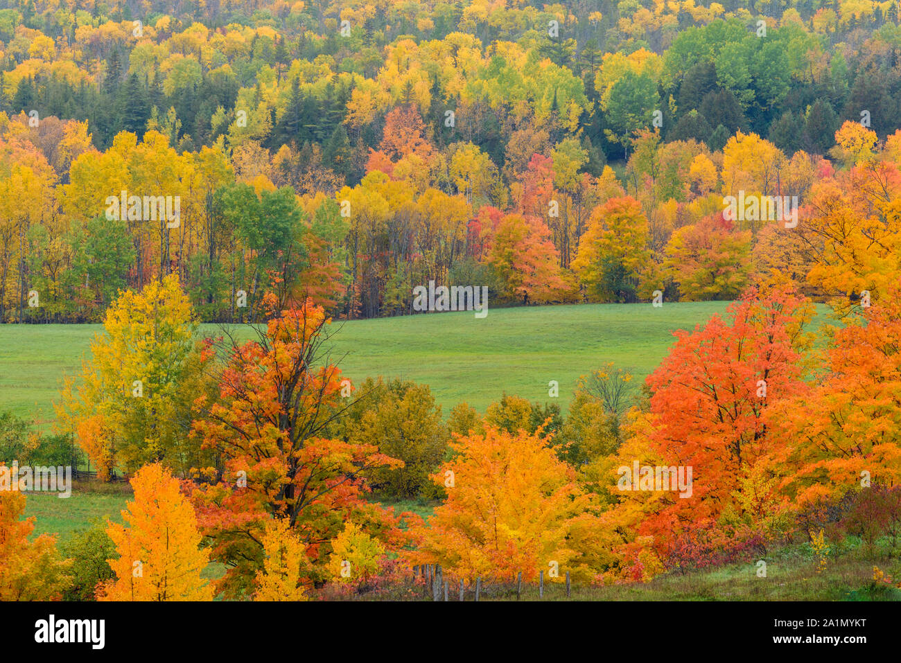 Manitoulin island road autumn hi-res stock photography and images - Alamy