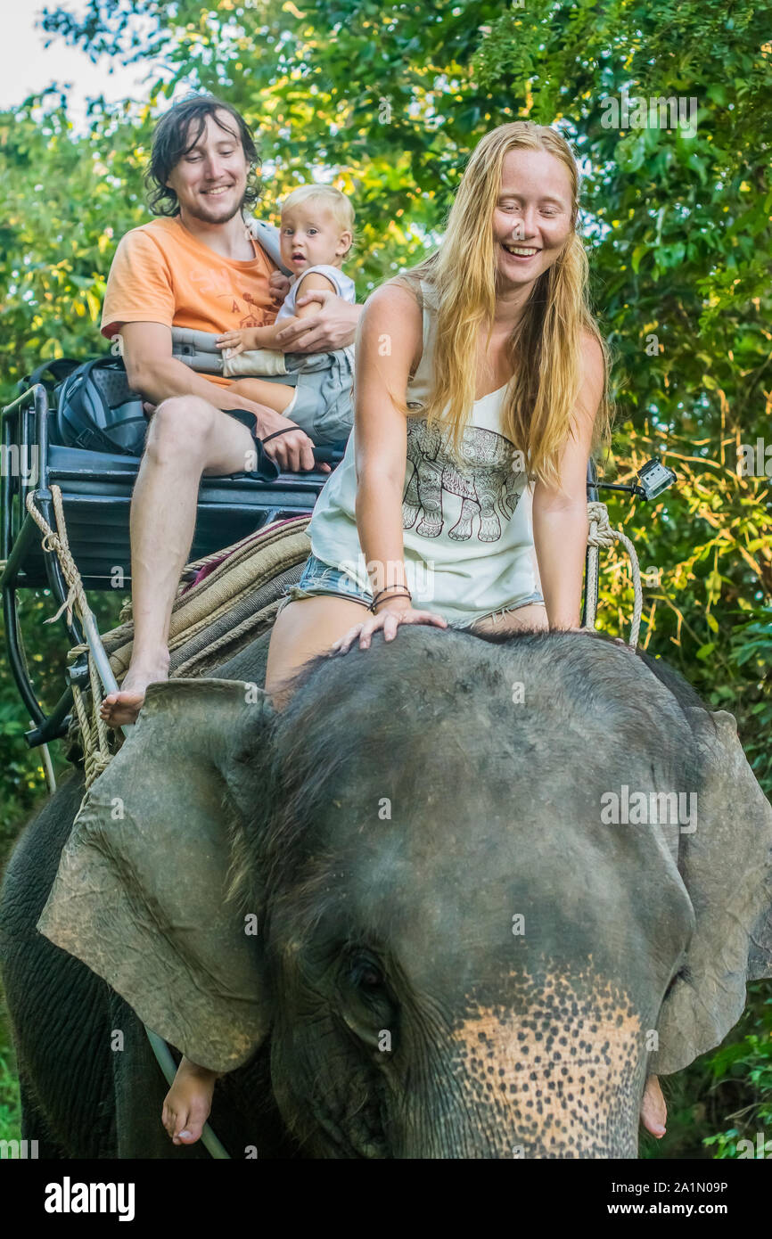 Happy family riding on an elephant, woman sitting on the elephant's ...