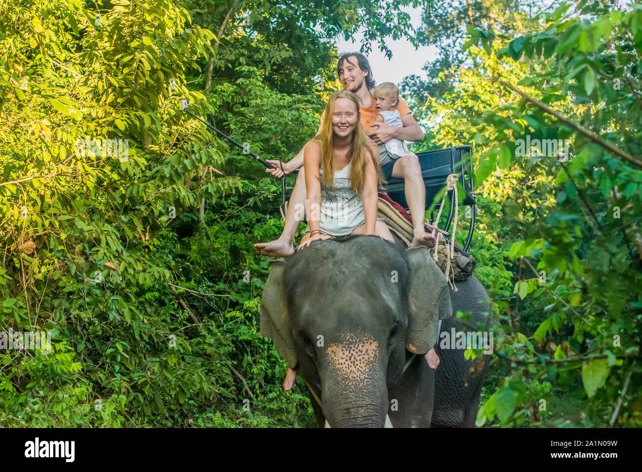 Happy family riding on an elephant, woman sitting on the elephant's ...
