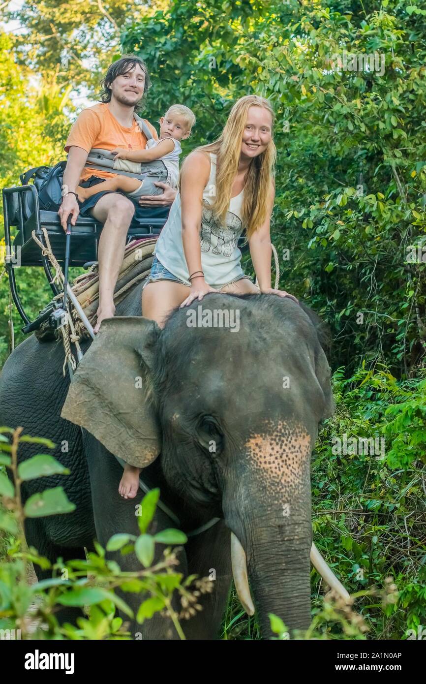 Happy family riding on an elephant, woman sitting on the elephant's ...