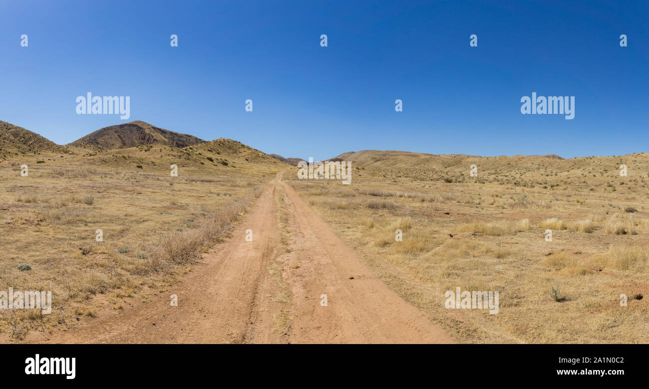 Straight Dirt Road leads through dry grassland Stock Photo - Alamy