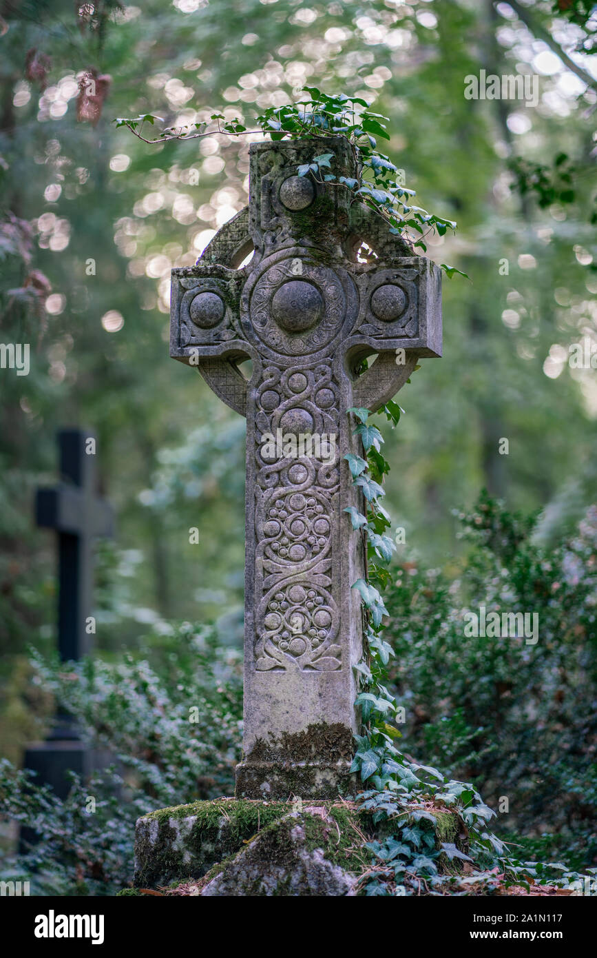 Celtic stone cross monument covered with ivy on a graveyard in a forest ...