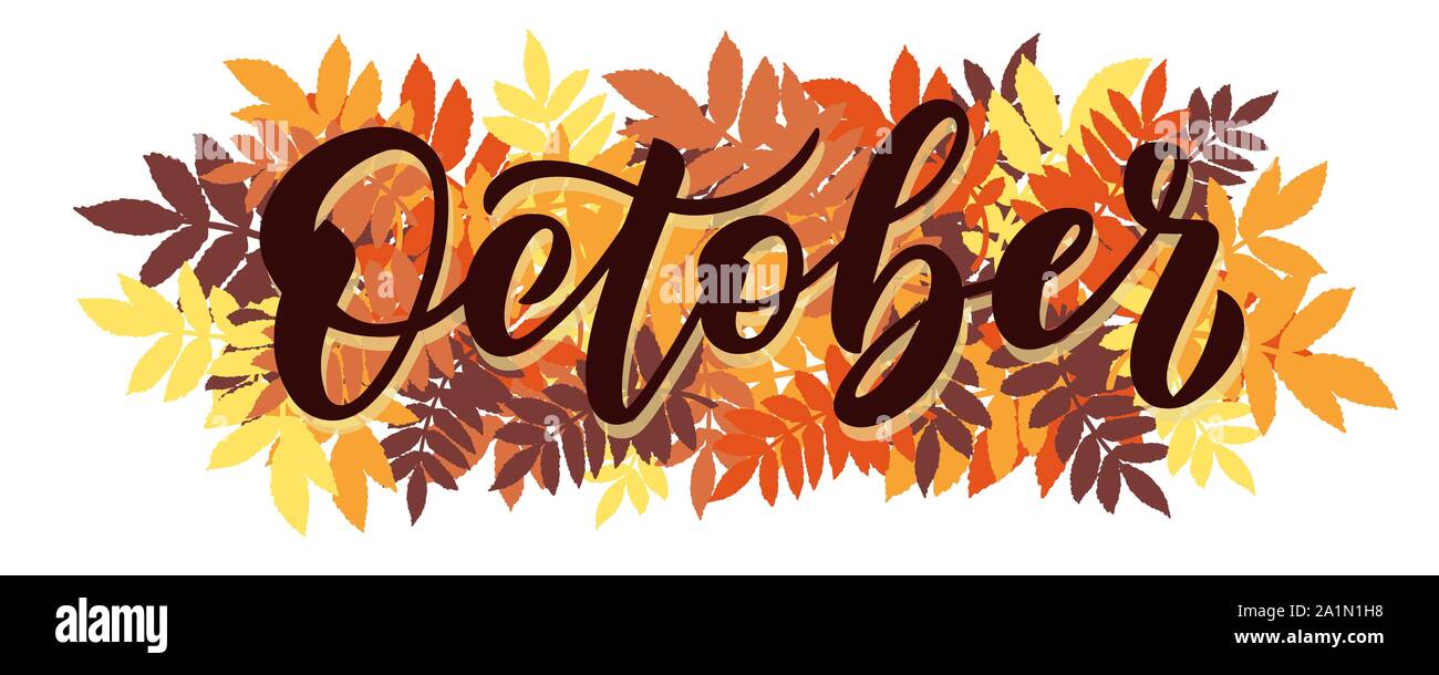 October, vector script with decorative rowan leaves elements. Hand ...