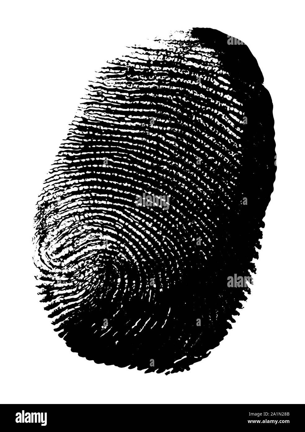 Close of a thumb print for background Stock Photo - Alamy