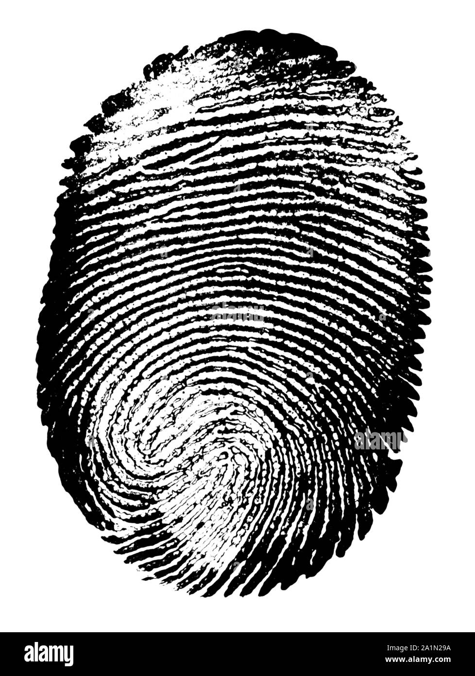 Close of a thumb print for background Stock Photo - Alamy