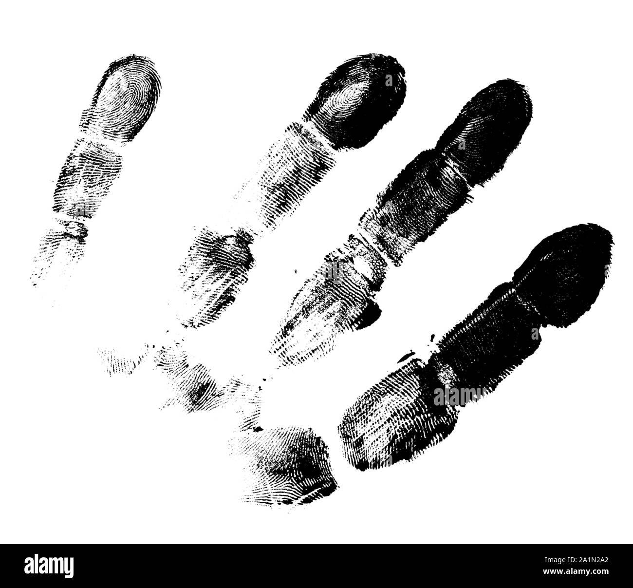 Biometric details Cut Out Stock Images & Pictures - Alamy