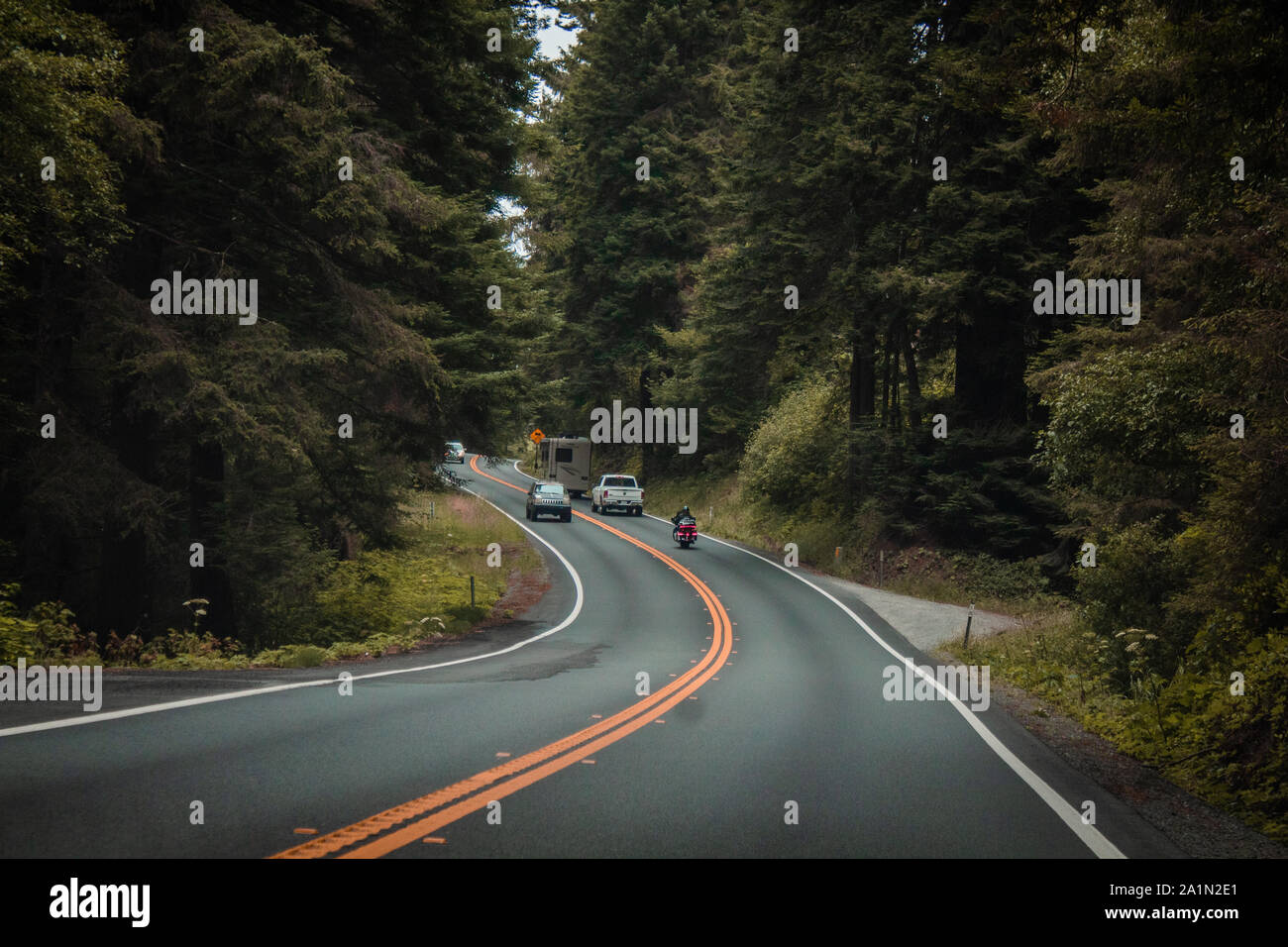 The forest road on Highway 101 Stock Photo - Alamy