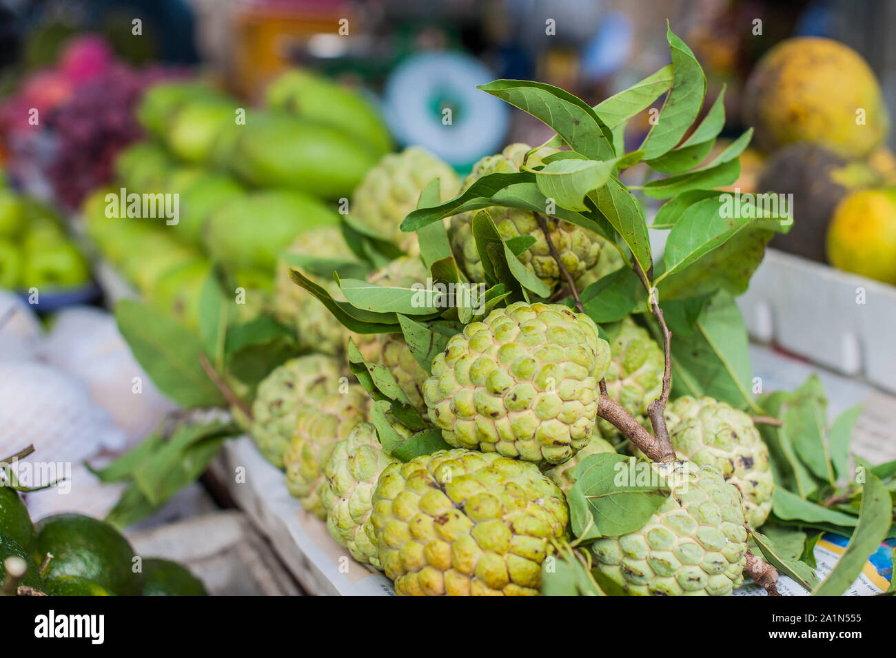 Asian Sugar Apple High Resolution Stock Photography and Images - Alamy