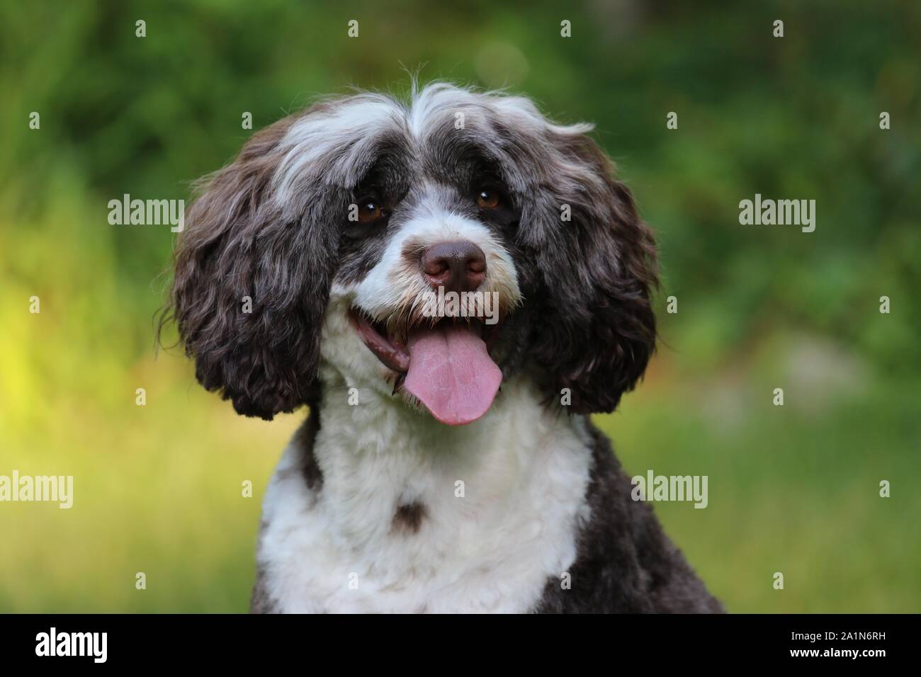 Face panting hi-res stock photography and images - Alamy
