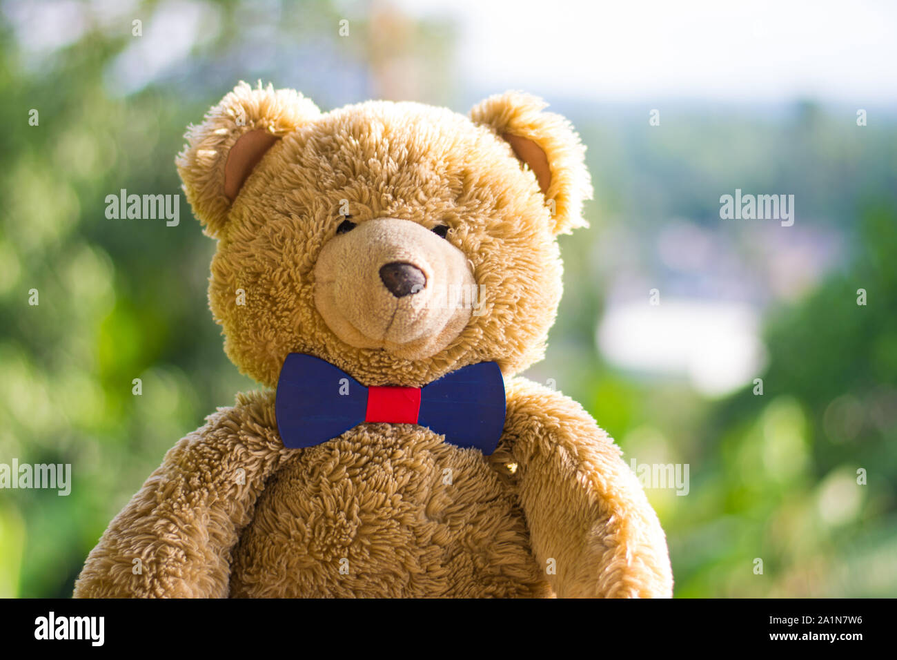 Black spotted bow tie hi-res stock photography and images - Alamy