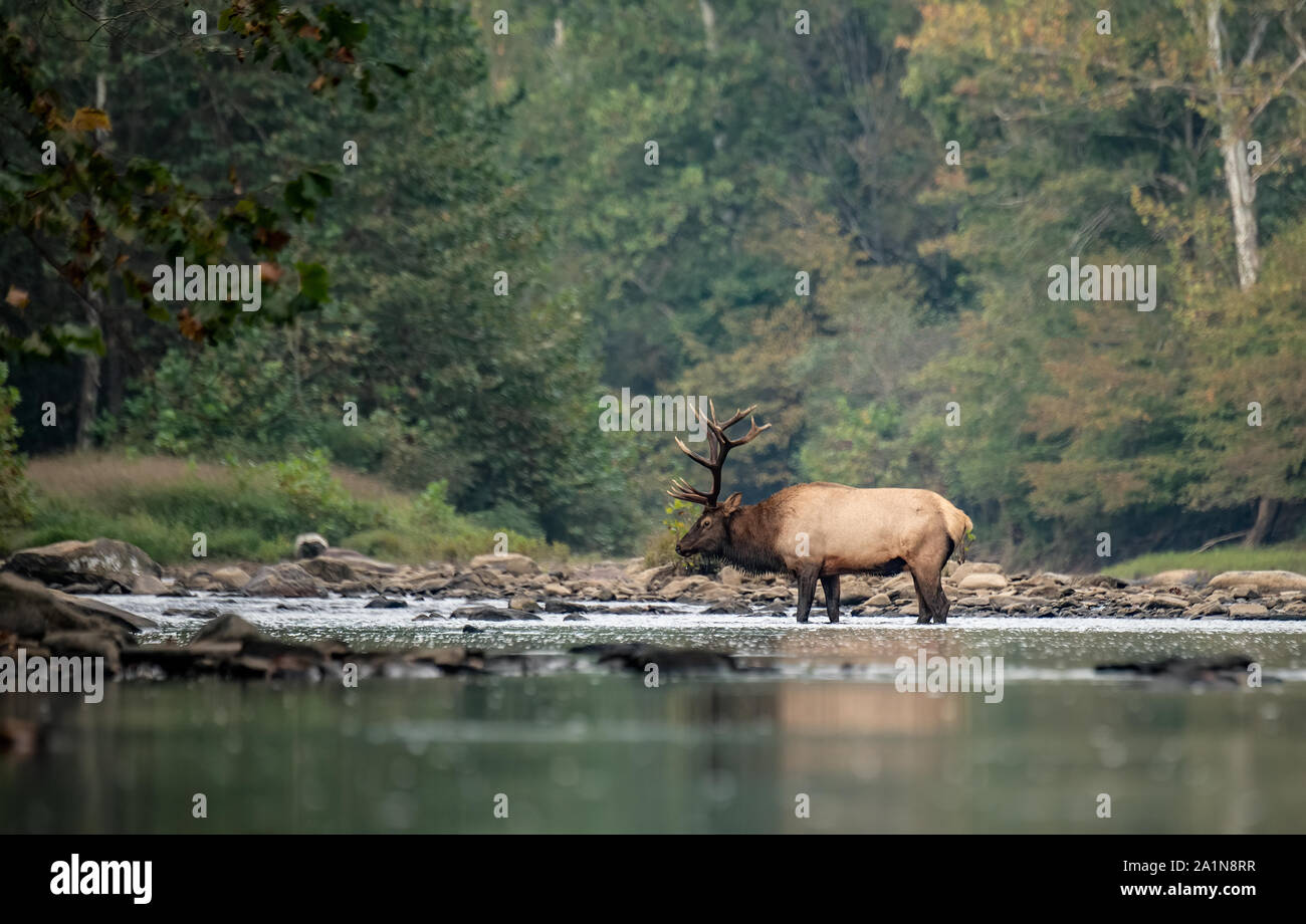 Bull run river hi-res stock photography and images - Alamy