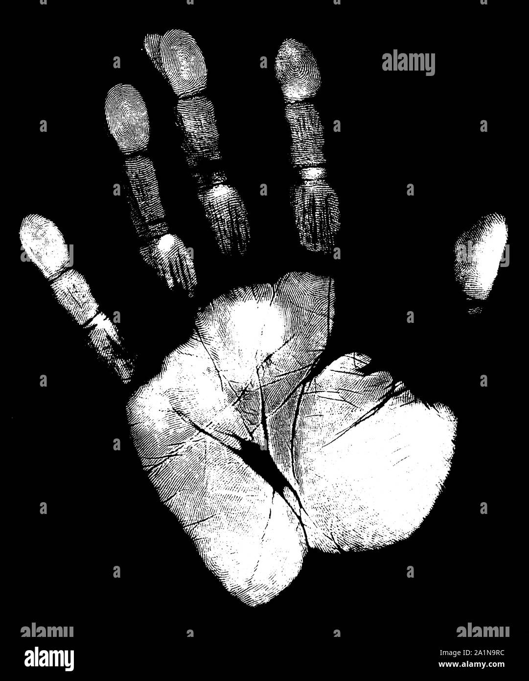 Imprint of a Human Hand with unique details Stock Photo - Alamy