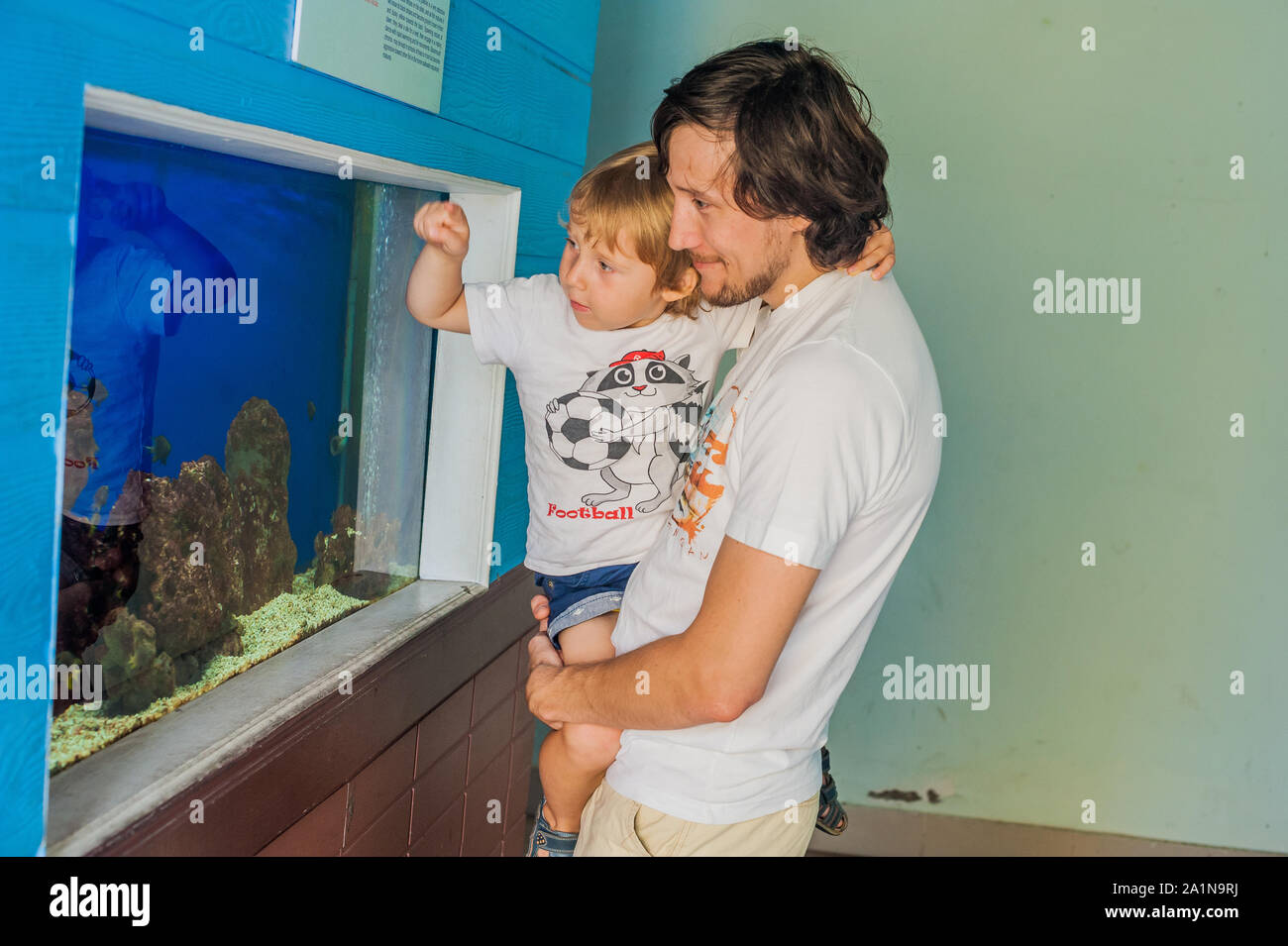 Father and son watching fish in an aquarium Stock Photo - Alamy