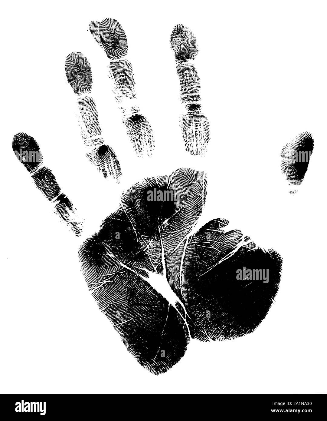 Imprint of a Human Hand with unique details Stock Photo - Alamy