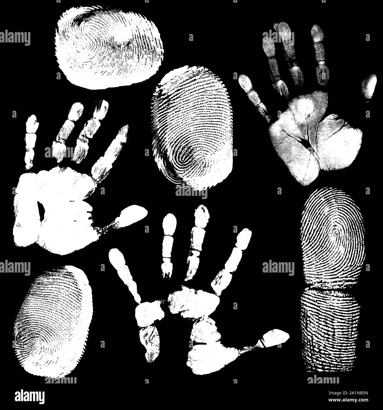 Human body details Black and White Stock Photos & Images - Alamy