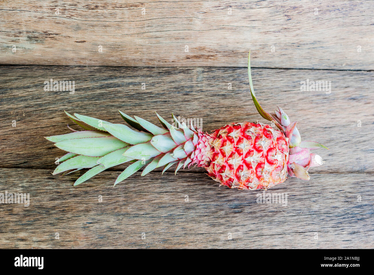 Decorative Pink Pineapple High Resolution Stock Photography and Images ...