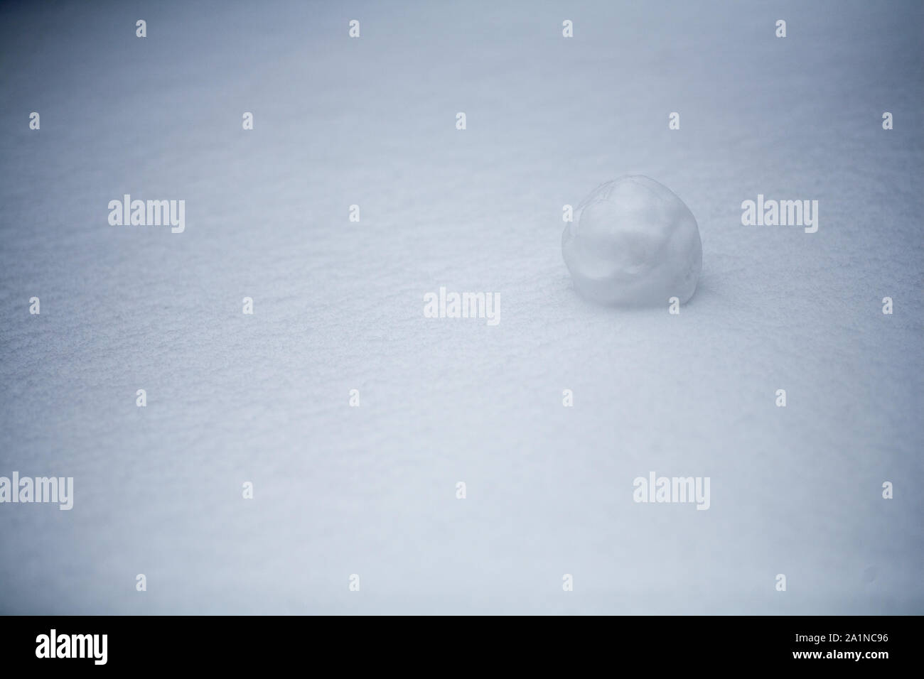 real snowballs with their hands clasped from the fresh snow in winter ...
