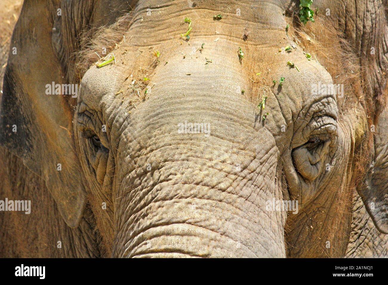 Santa Barbara, California, USA. 27th Sep, 2019. The Santa Barbara ZooÃ ...