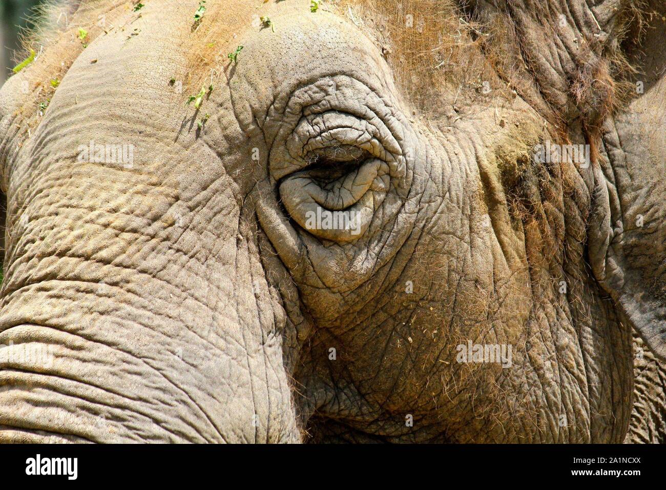 Santa Barbara, California, USA. 27th Sep, 2019. The Santa Barbara ZooÃ ...