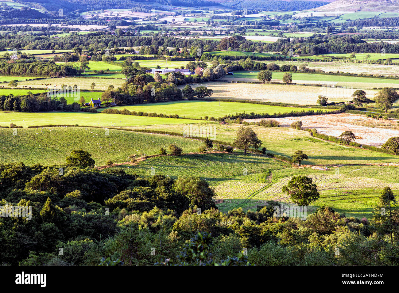 landscape view of North York Moors and Roseberry Topping, Claybank ...