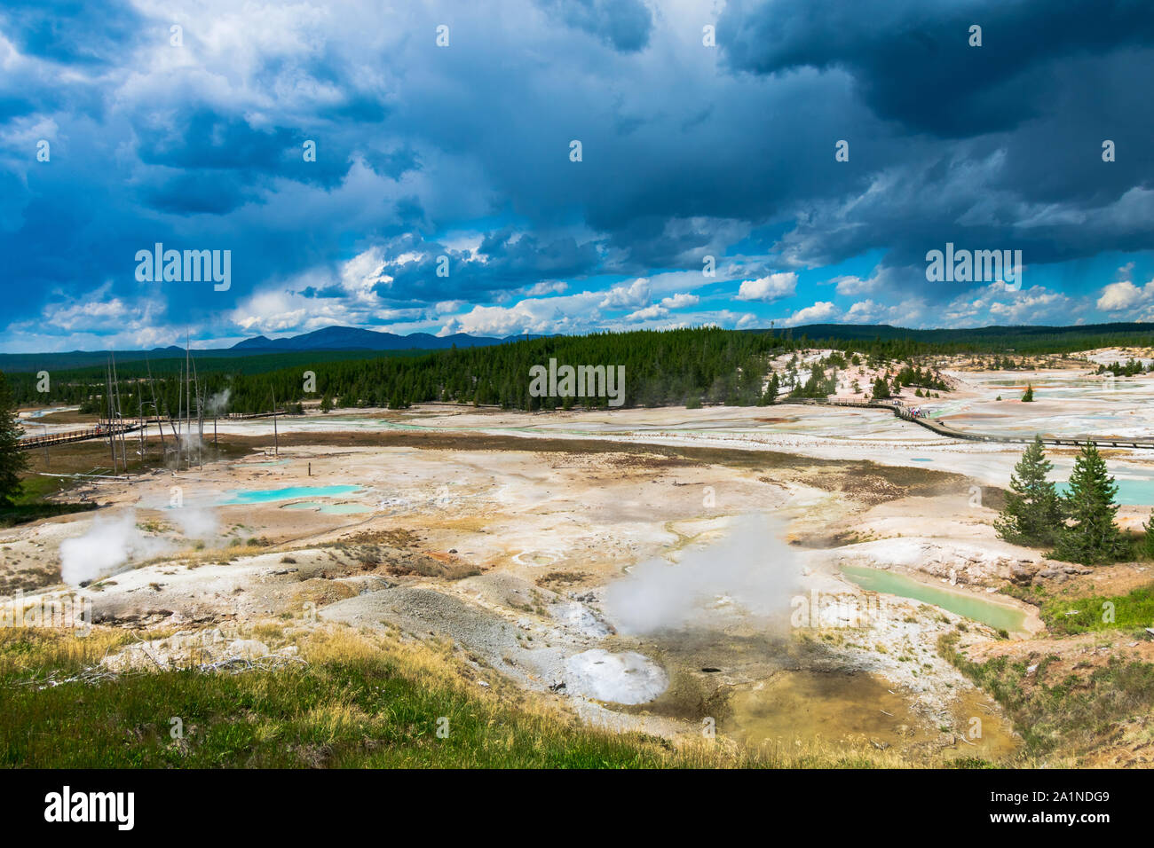 Ledge Geyser, Yellowstone National Park Stock Photo - Alamy
