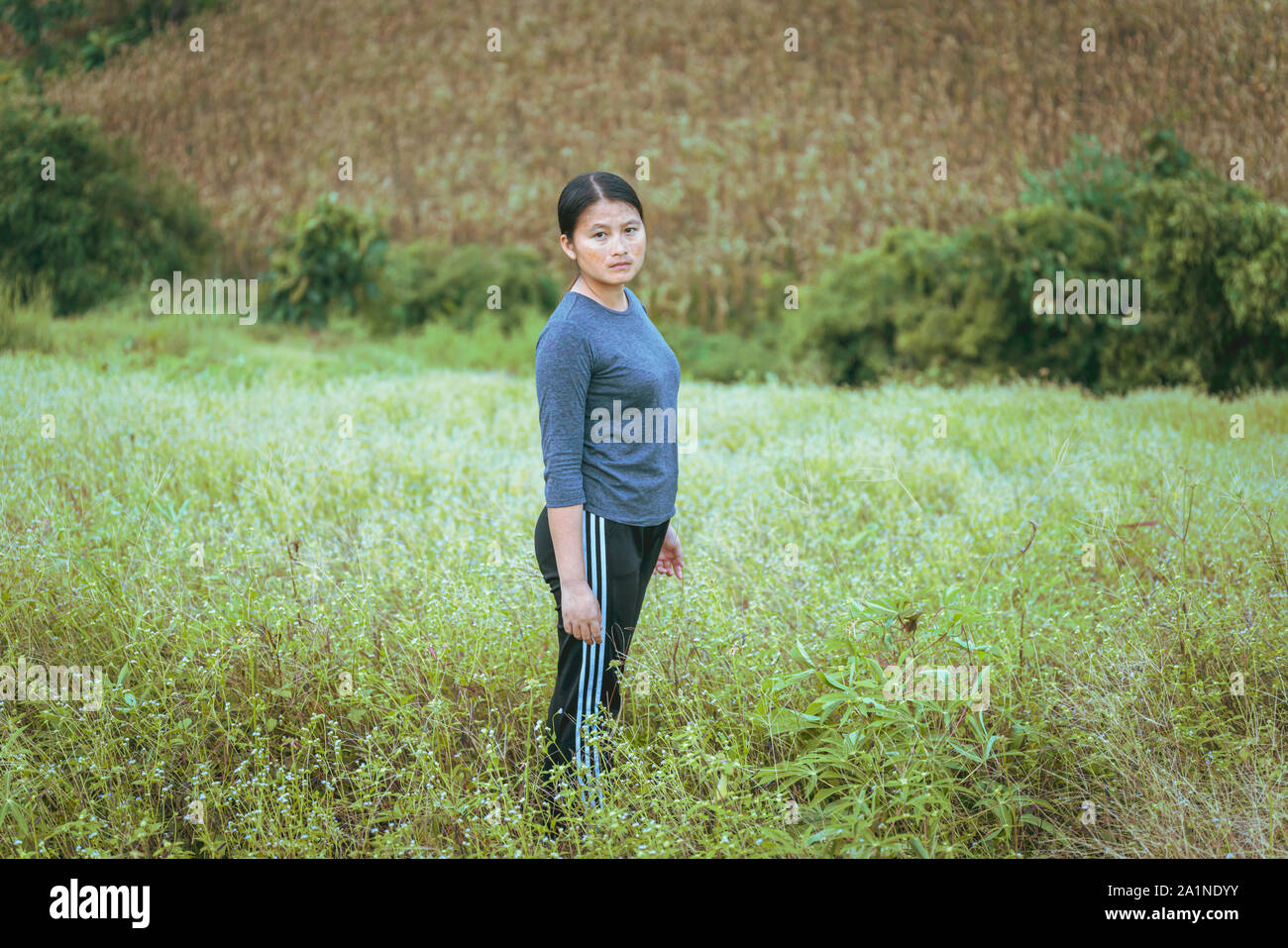 Beautiful asia woman hi-res stock photography and images - Alamy