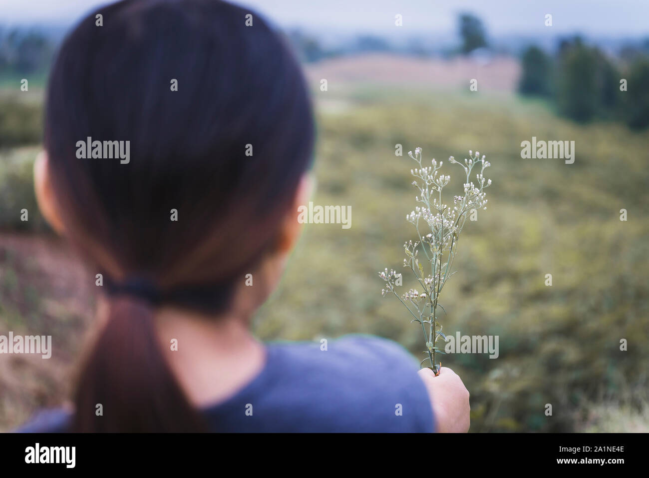 girl hiding bouquet of flowers for her behind back Stock Photo - Alamy