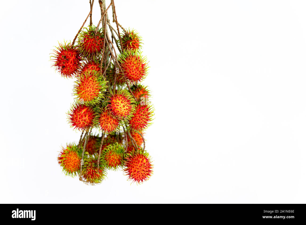 Hairy fruit hi-res stock photography and images - Alamy