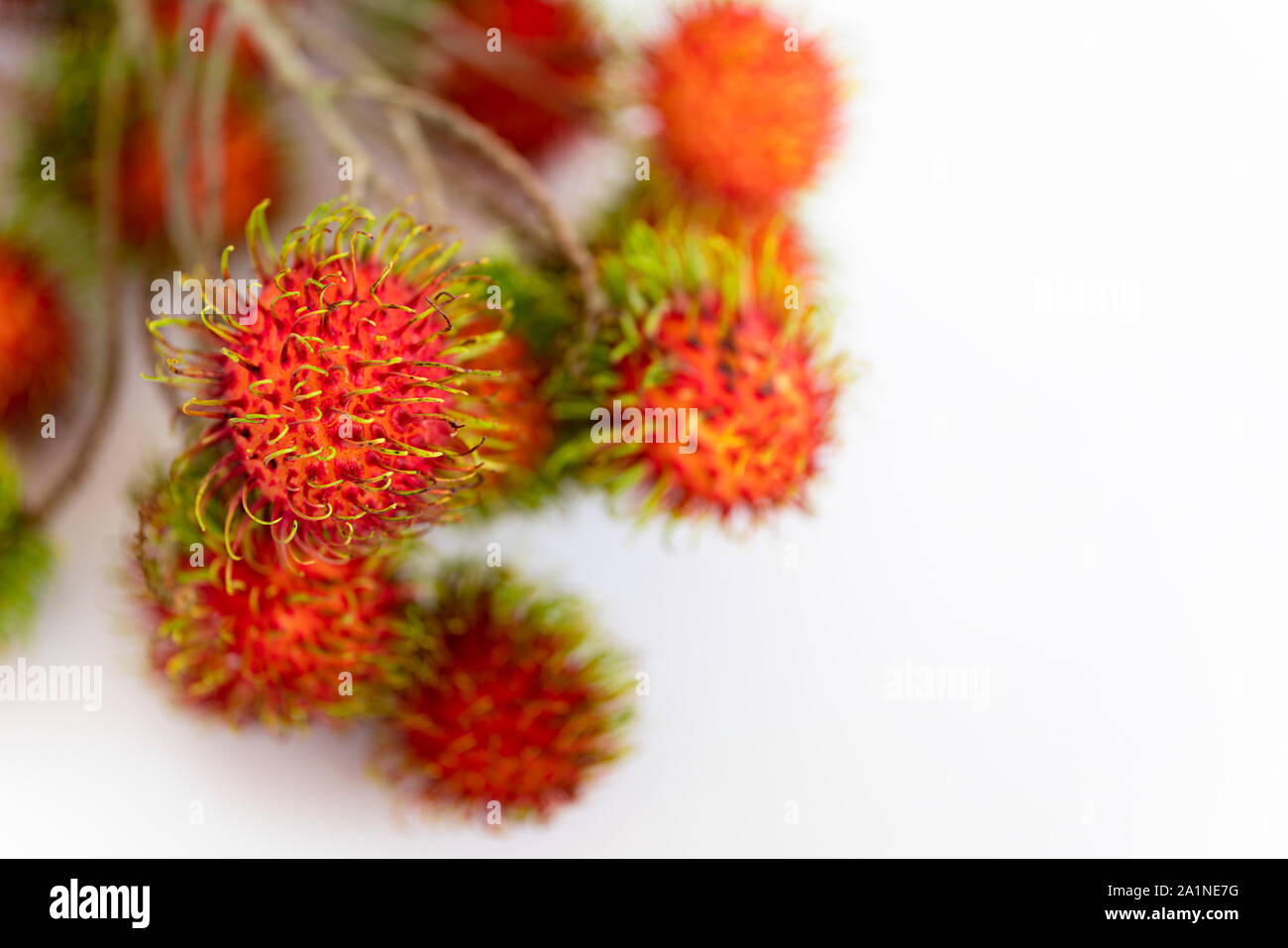 opened rambutan fruit or hairy fruit on white background Stock Photo ...