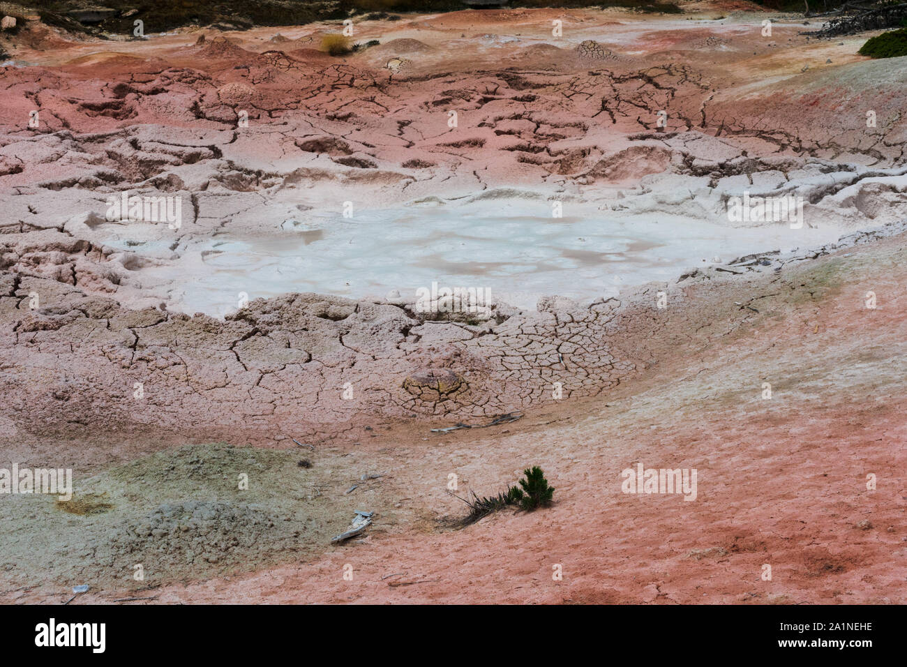 Mud pots yellowstone hi-res stock photography and images - Alamy
