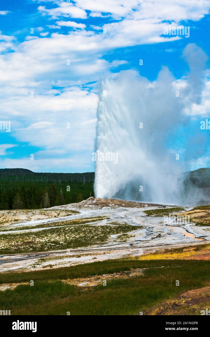 Old Faithful Geyser, Yellowstone National Park Stock Photo - Alamy