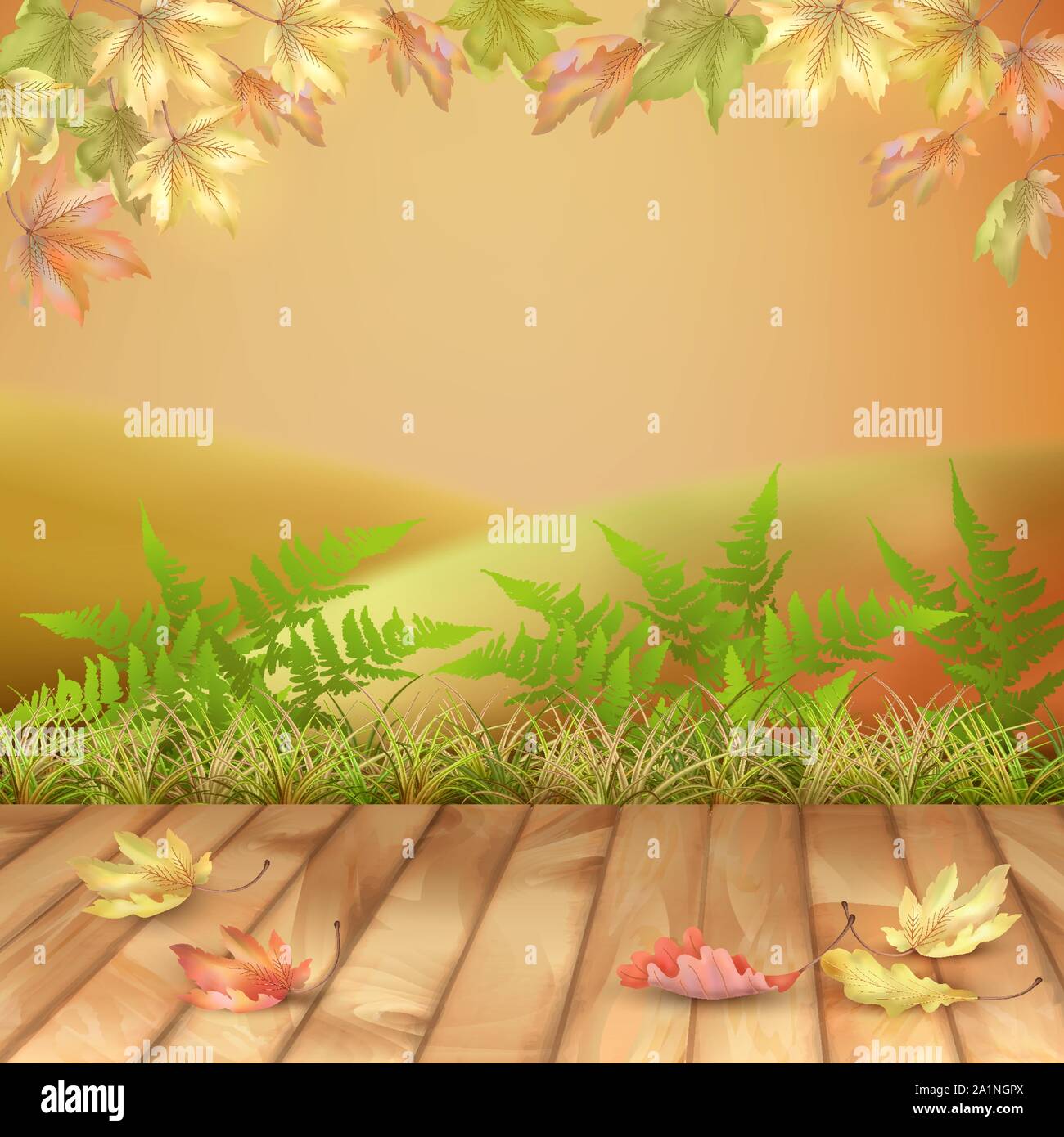 Vector Autumn Background Stock Vector Image & Art - Alamy