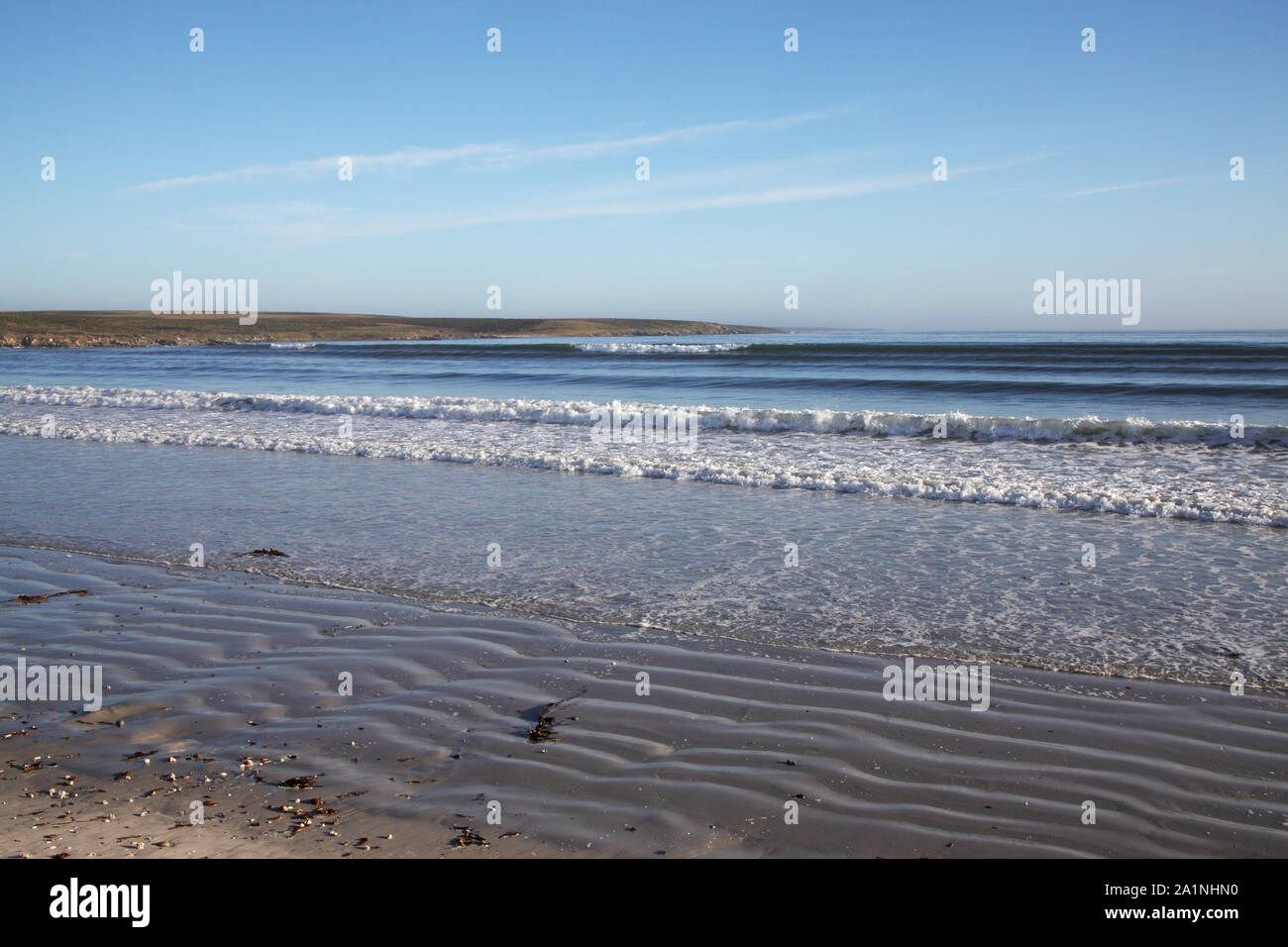 Elephant Beach Pebble Island Falkland Islands Stock Photo - Alamy