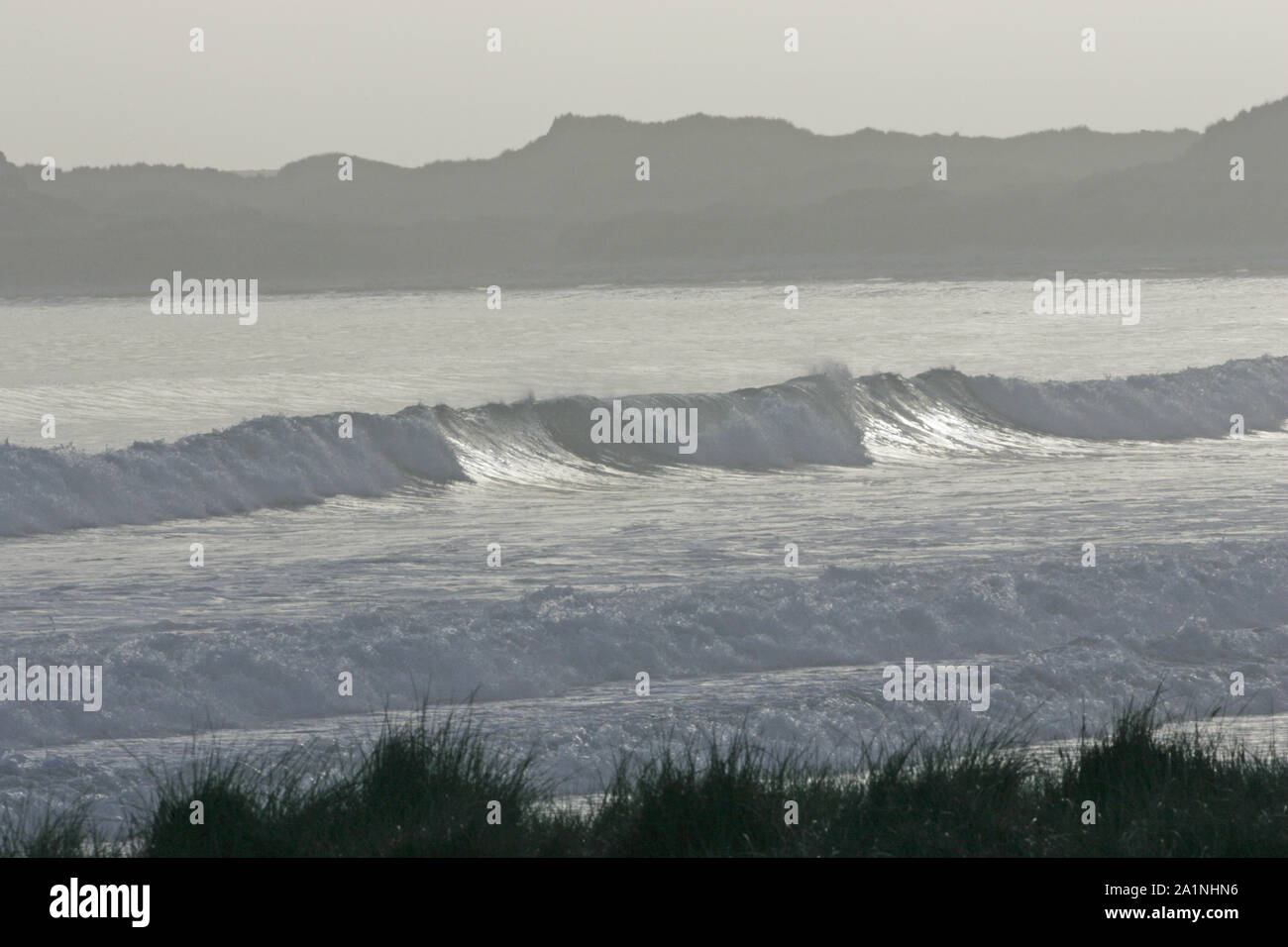 Wind whipping top off of wave Elephant Beach Pebble Island Falkland ...
