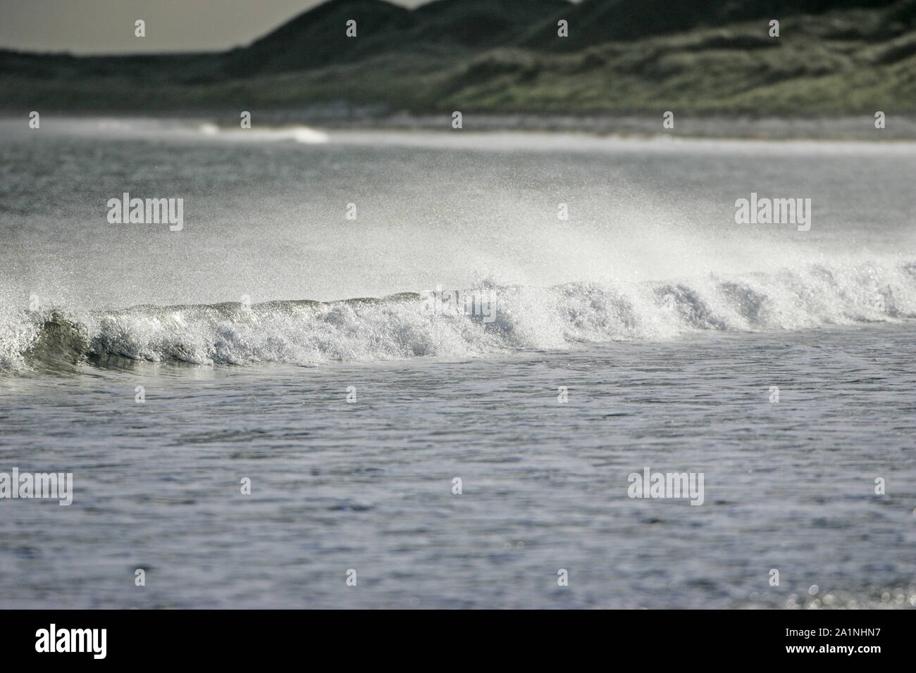Wind whipping top off of wave Elephant Beach Pebble Island Falkland ...