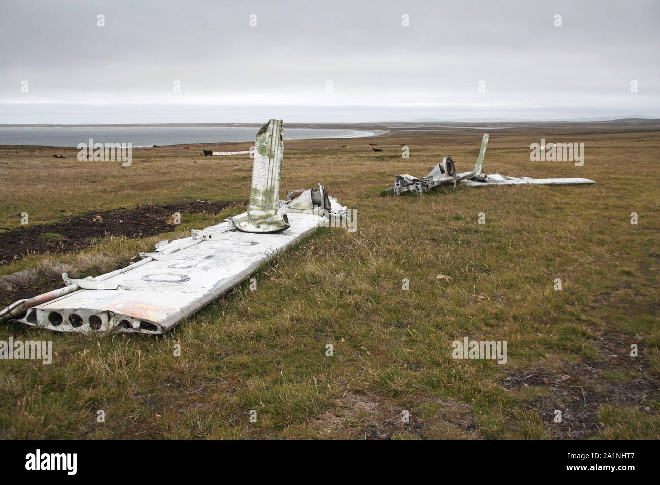 Wreckage of an Argentinian plane on Pebble Island blown up by the SAS ...